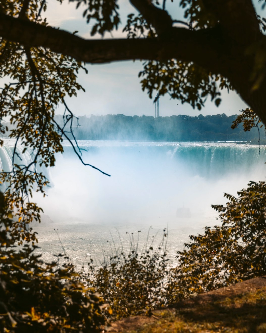 Niagara Region - Brandow Group